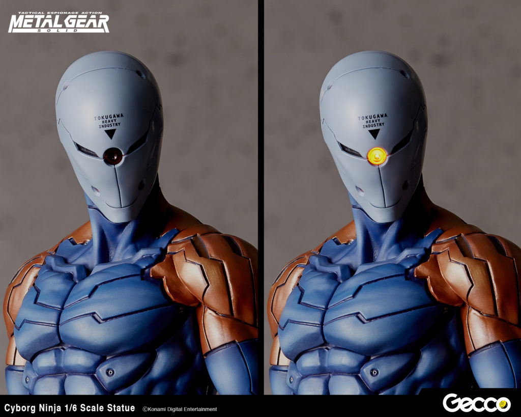 Gray Fox looks alive again on official photos of his impressive ...